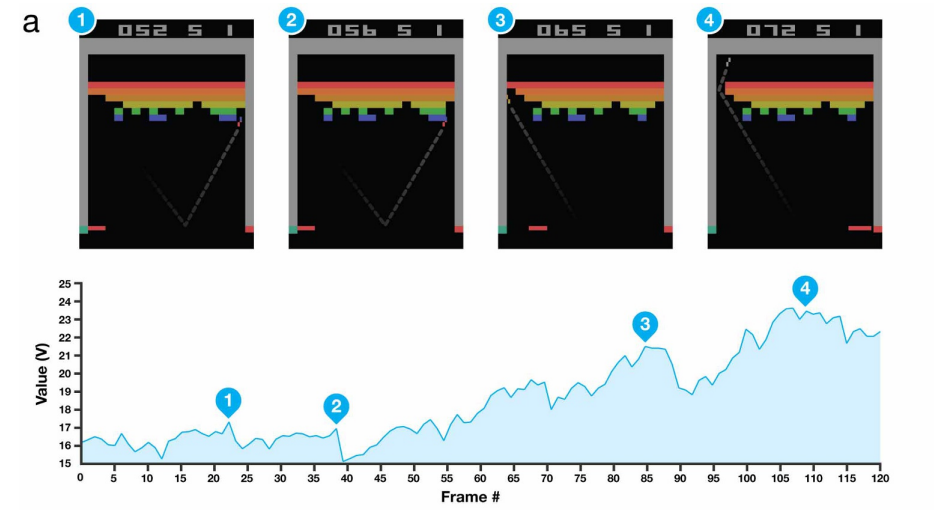 Paper 9. Human-level control through deep reinforcement learning - 知乎