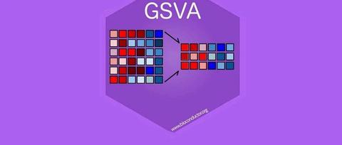 【实战】GSVA基因集热图绘制 - 知乎