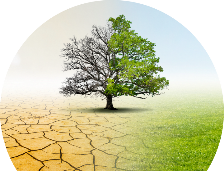 气候风险(Climate Risk)简介 - 知乎