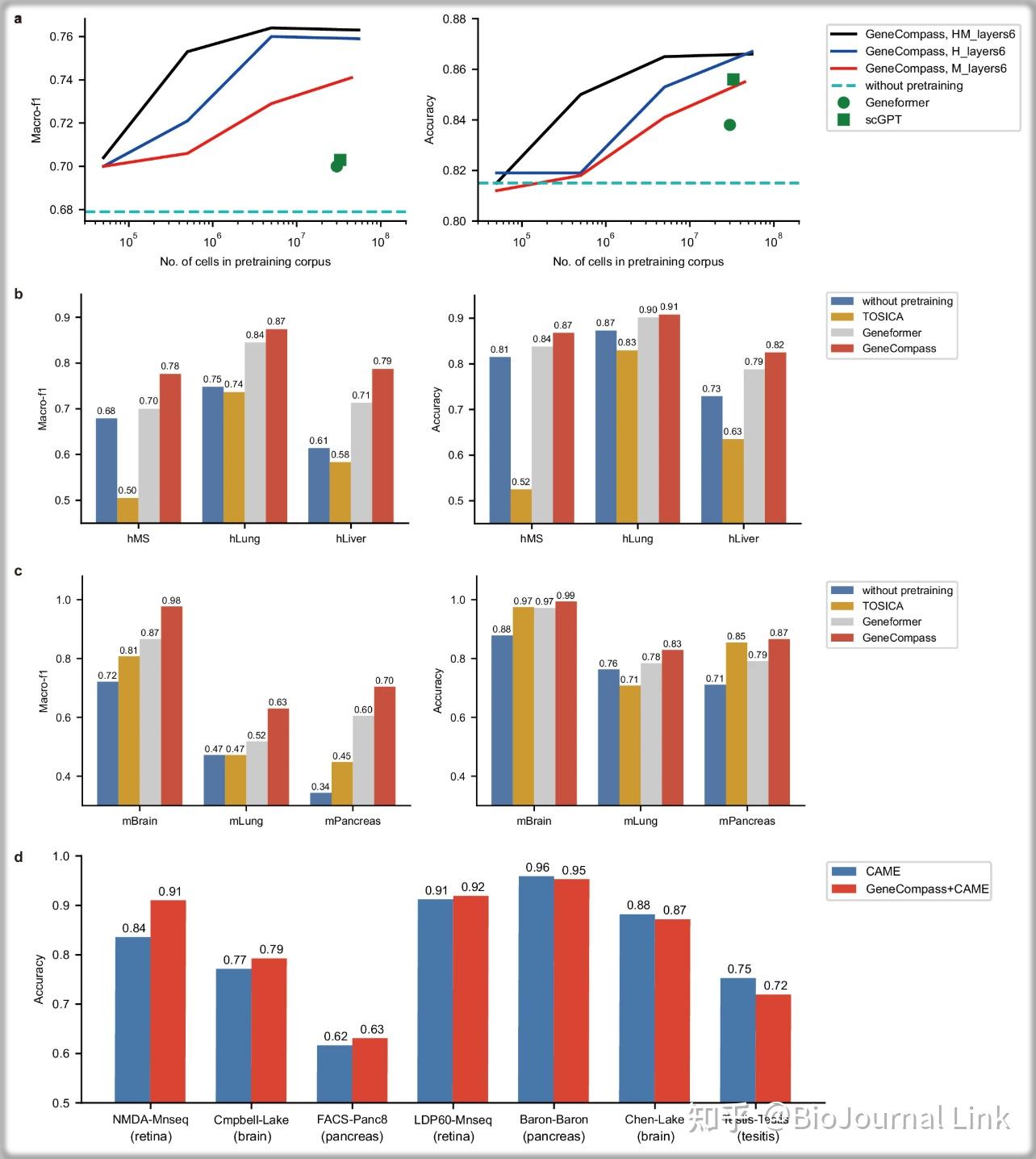 人工智能 | Cell Research | GeneCompass：用知识驱动的跨物种基础模型解析普遍的基因调控机制 - 知乎