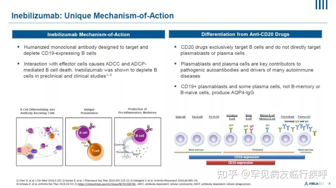 抗CD19伊奈利珠单抗Inebilizumab在华获批将上市视神经脊髓炎谱系疾病(NMOSD)患者将？ - 知乎