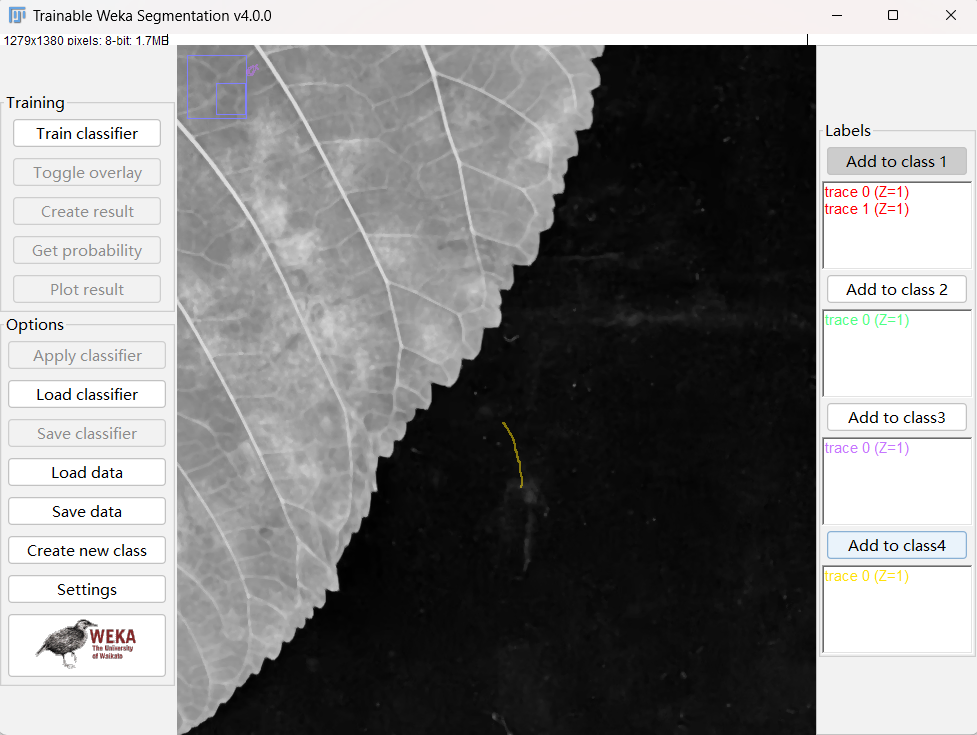 ImageJ + 机器学习图像处理 - 知乎