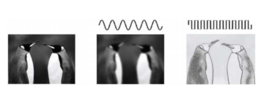 Inception Transformer混合架构！iFormer：灵活移植Inception的卷积与最大池化 - 知乎