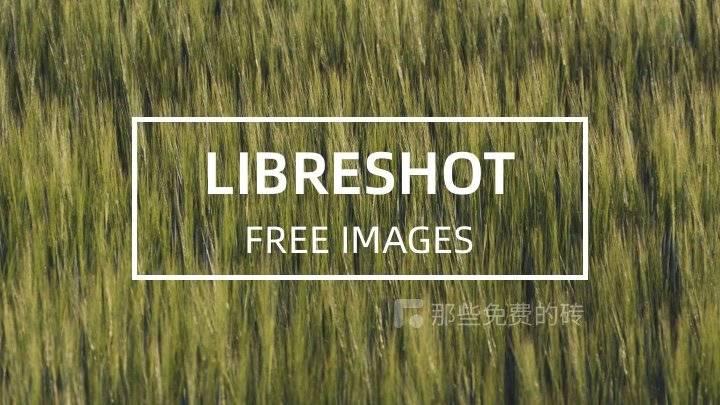 LibreShot - 小众的摄影照片下载网站，所有照片基于 CC0 协议，可免费商用 - 知乎