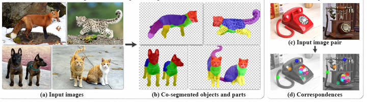 Deep ViT Features as Dense Visual Descriptors - 知乎