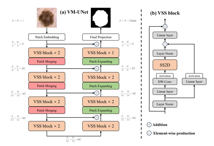 SAM-VMNet：用于冠状动脉造影血管分割的深度神经网络 - 知乎