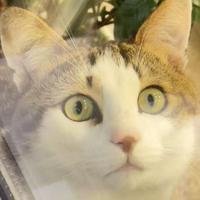 深入理解 Python 的 AsyncExitStack - 知乎