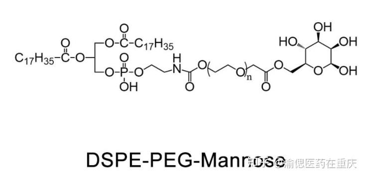 DSPE-PEG2000-Mannose，二硬脂酰磷脂酰乙醇胺-聚乙二醇-甘露糖，DSPE-PEG-甘露糖在细胞表面工程方面的应用 - 知乎