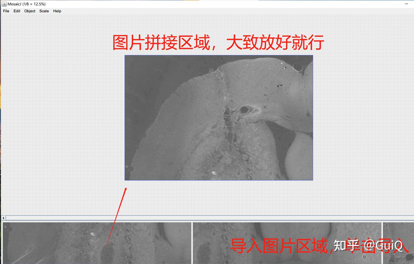 Image J Fiji使用：mosaicj拼图教程 - 知乎