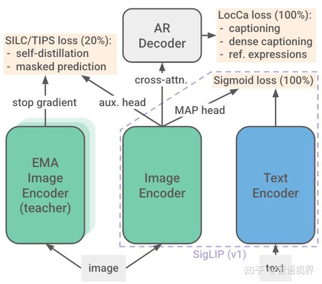 SigLIP 2:多语言视觉-语言编码器，进一步改进语义理解、定位与密集特征 - 知乎