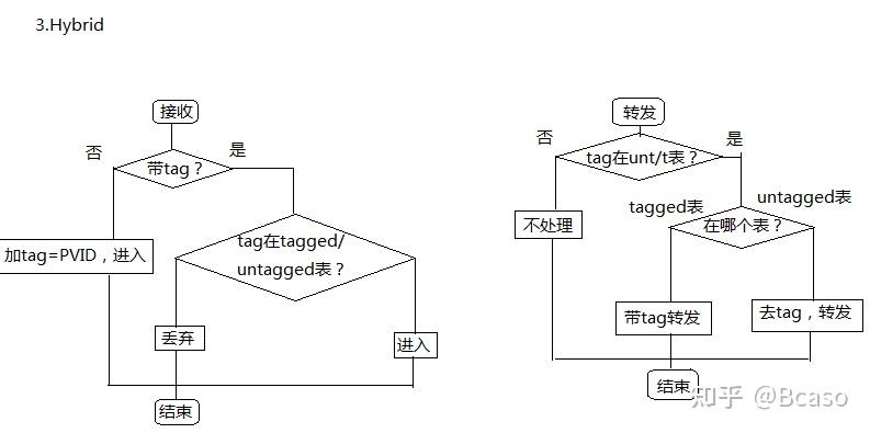 图解 trunk，hybrid - 知乎