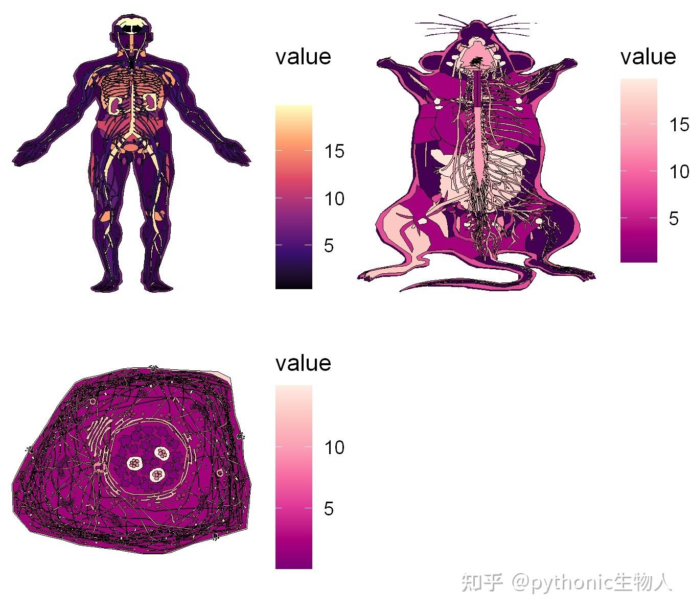 那些漂亮的sci论文图一般用什么软件制作的？ - 知乎