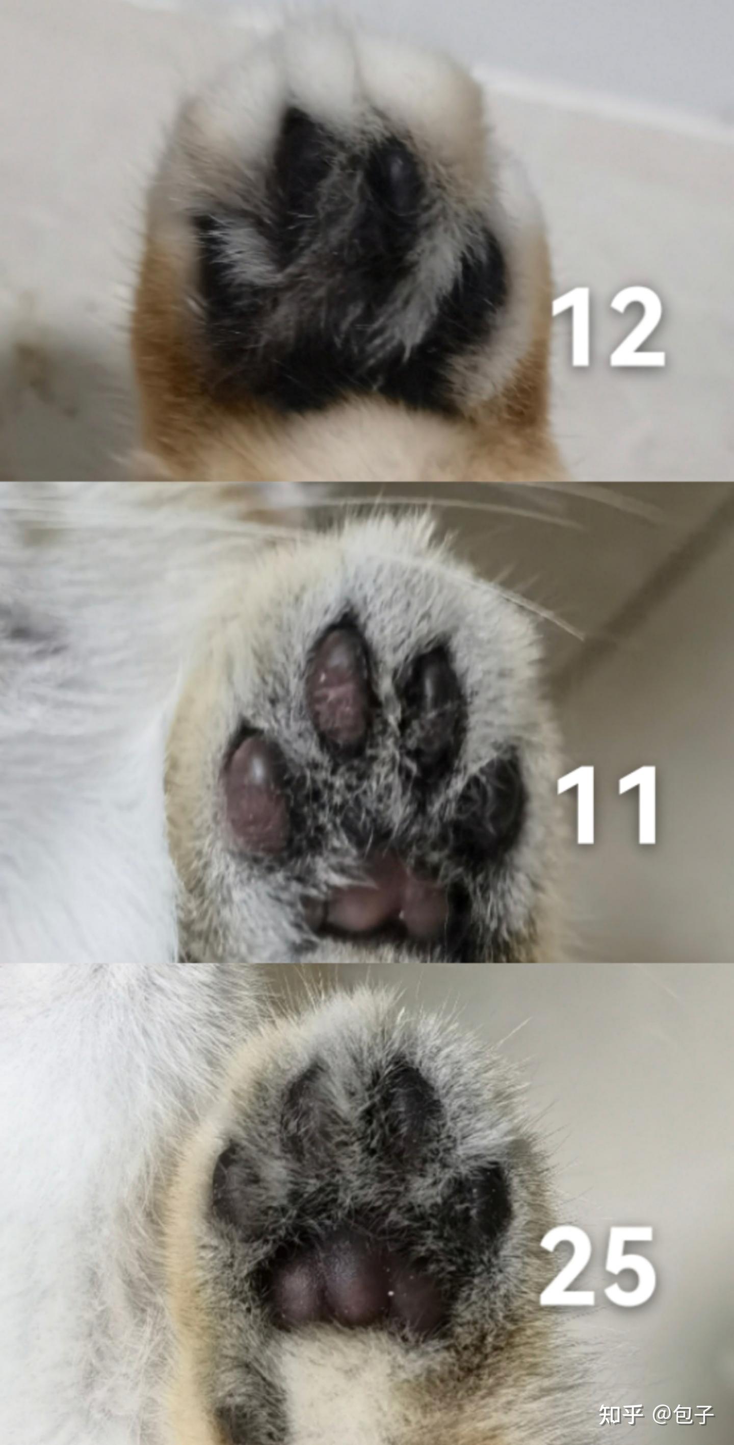 金渐层 | 一分钟教你学会看色号（ny11/ny12/ny25的含义及判断） - 知乎