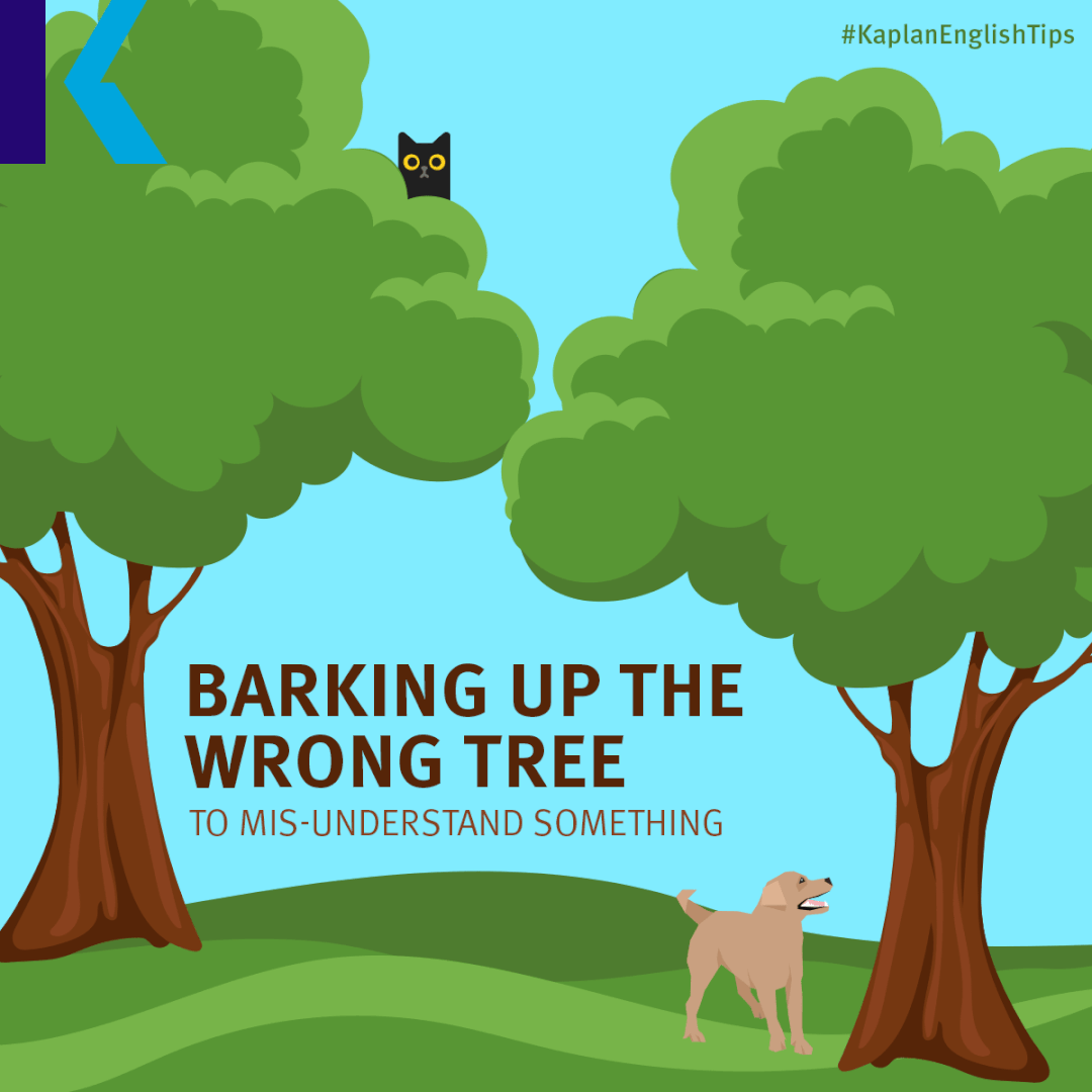 英语习语解析：Bark up the wrong tree - 知乎