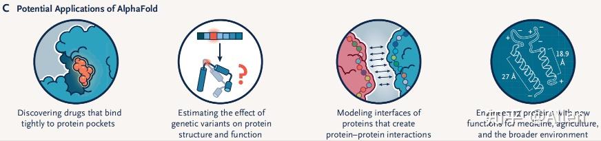 AlphaFold(α-fold)预测蛋白结构及其可视化（pymol）小白教程 - 知乎