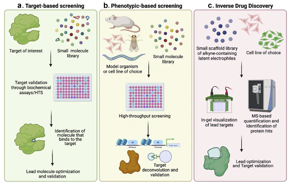 综述：表型药物发现（PDD）篇：研发FIC新药的利器 - 知乎