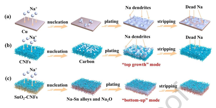 梯度亲钠SnO2-CNFs支架的制备及其在钠金属电池负极中的应用 - 知乎