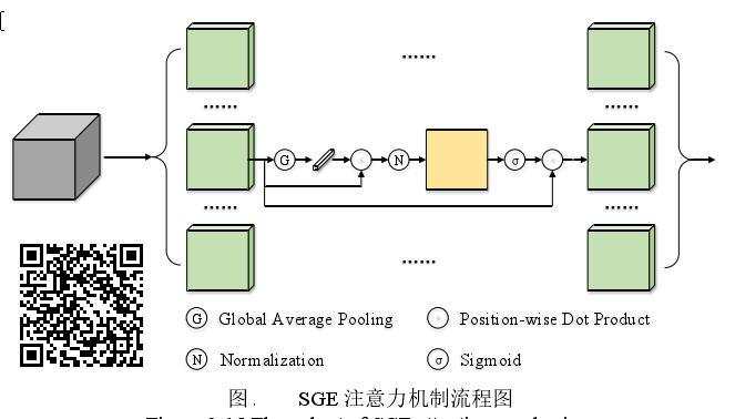 SGE 注意力机制 - 知乎