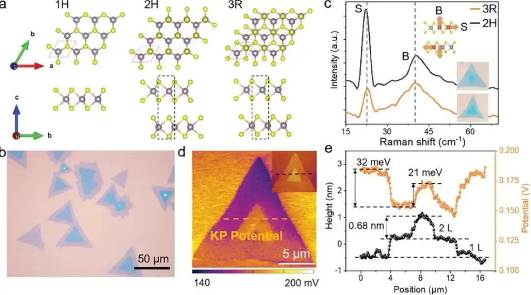 Advanced Materials |具有室温铁电性的双层 3R MoS2 的气相沉积 - 知乎