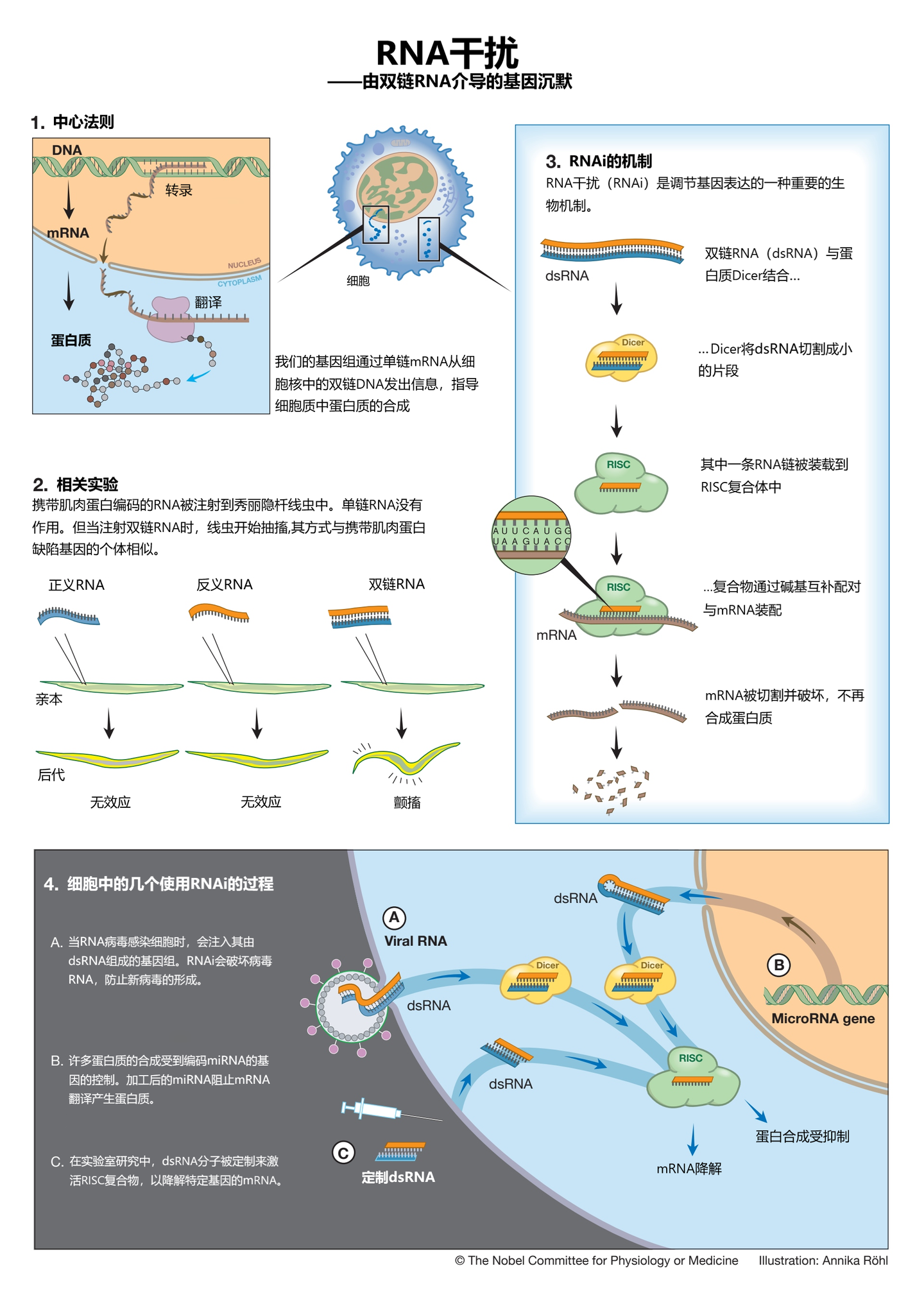 RNA干扰（一）——mi-！si-！pi-！ - 知乎