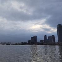 Dream2Flow：通过3D物体流桥接视频生成与开放世界操作 - 知乎