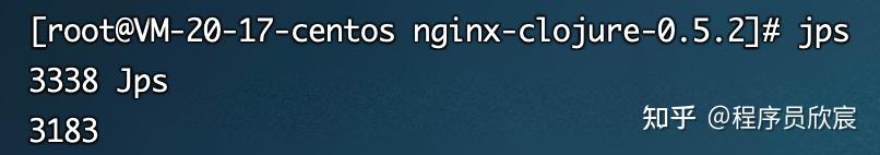 Java扩展nginx之三 知乎 