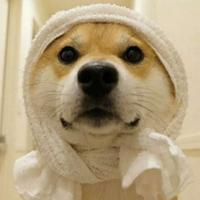 解决No module named 'pymysql'报错的方法之一（仅供参考） - 知乎