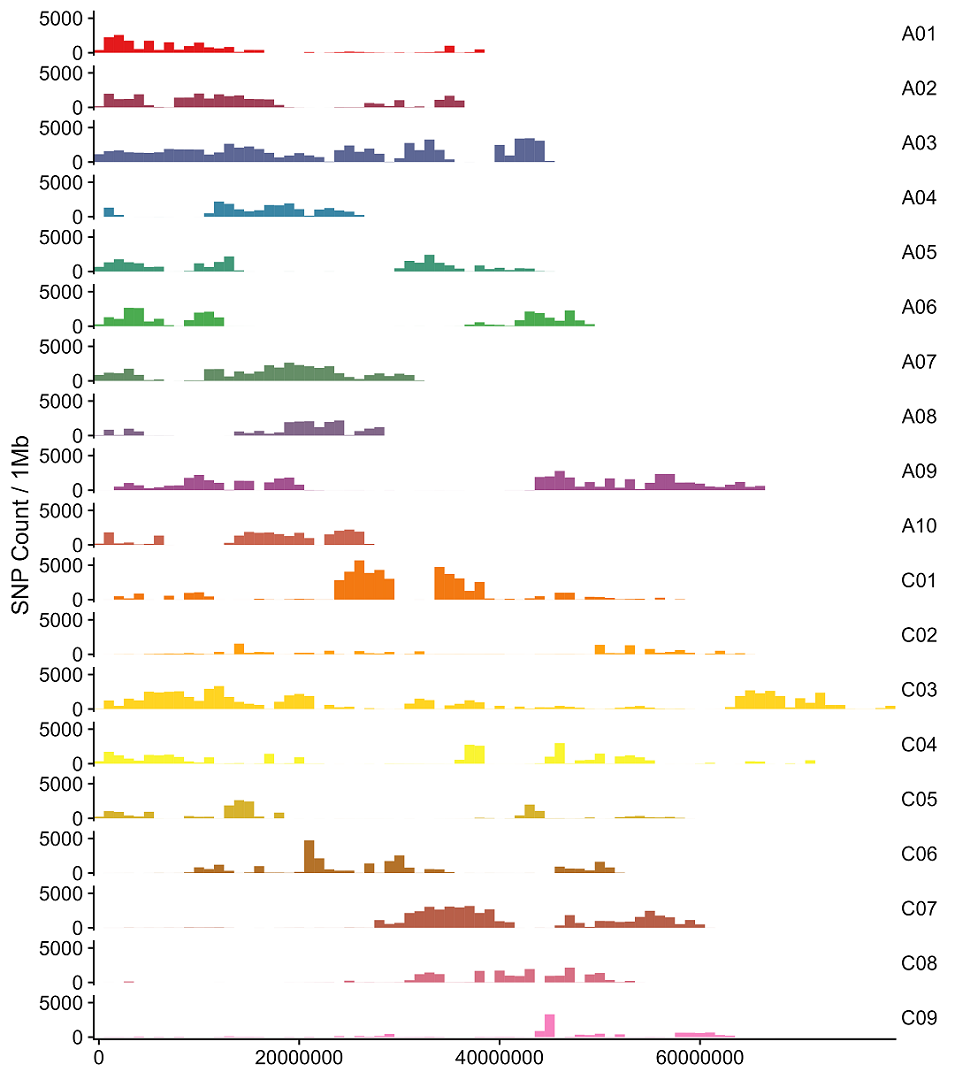 QTL-seq系列 | 使用easyQTLseq进行QTL-seq分析 - 知乎