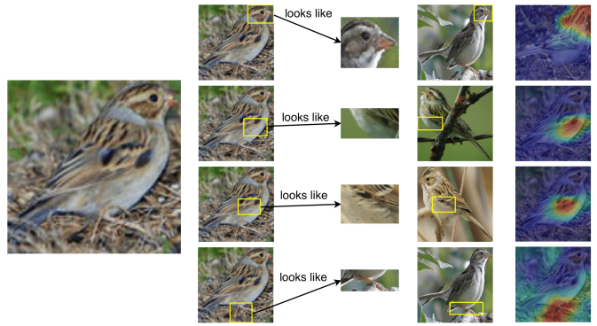 This Looks Like That: Deep Learning for Interpretable Image Recognition ...