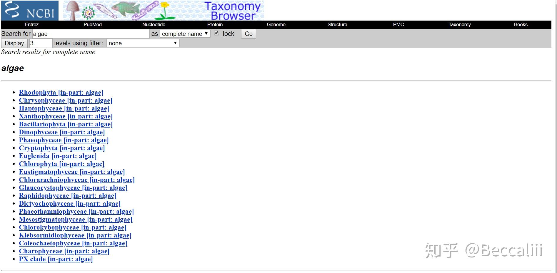 【数据库】- NCBI Taxonomy Browser - 知乎
