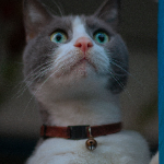 Vue+OpenLayers从入门到实战进阶案例汇总目录，兼容OpenLayers7和OpenLayers8 - 知乎