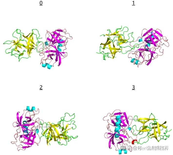 蛋白分子对接—ClusPro预测及PyMol可视化呈现 - 知乎