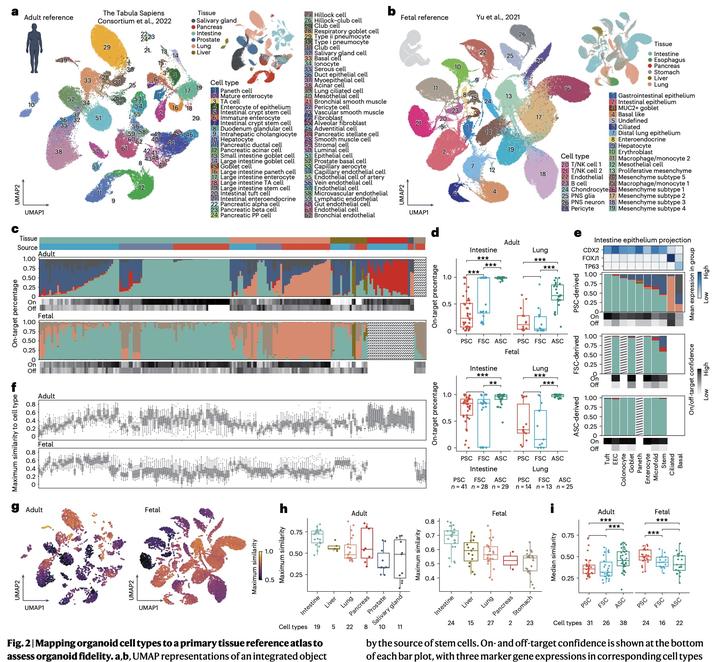 这个国外团队真强，才几个月一篇Nature，一篇Nat Genet，单细胞整合，套路几乎一样 - 知乎