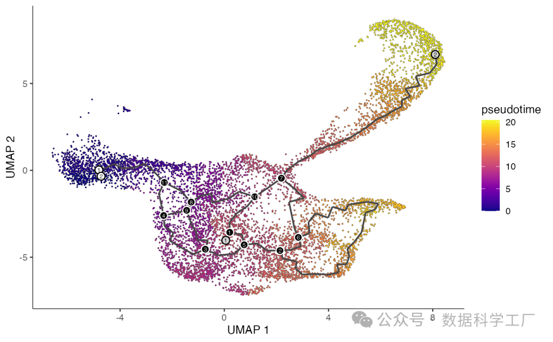 单细胞分析 | 使用 Monocle 3 进行发育轨迹分析 - 知乎