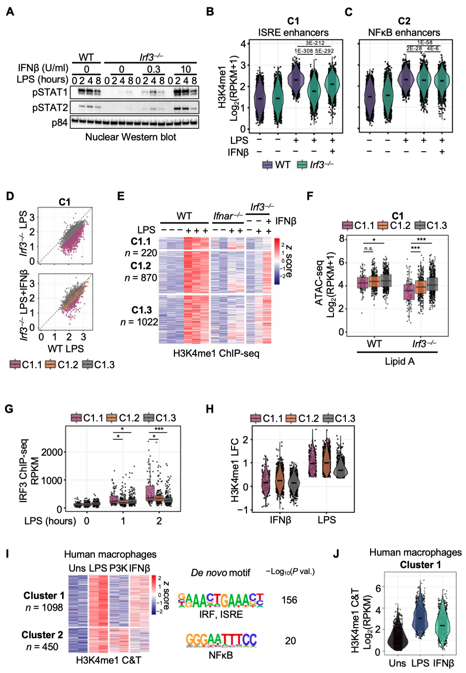 Science Signaling丨IRF1与ISGF3或GAF合作，在巨噬细胞中形成先天免疫增强因子 - 知乎