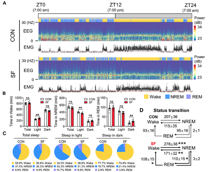 【Lunion Stage 应用案例】Cell Metabolism封面文章：揭示乙酸改善睡眠紊乱中代谢和认知异常新机制 - 知乎