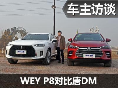 左右逢源 WEY P8车主对比体验唐DM - 知乎