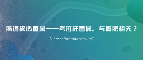 肠道核心菌——戴阿利斯特杆菌属 （Dialister） - 知乎