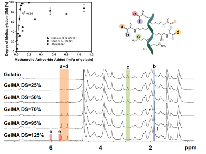 Gelma和HAMA光固化水凝胶的性能与应用 - 知乎
