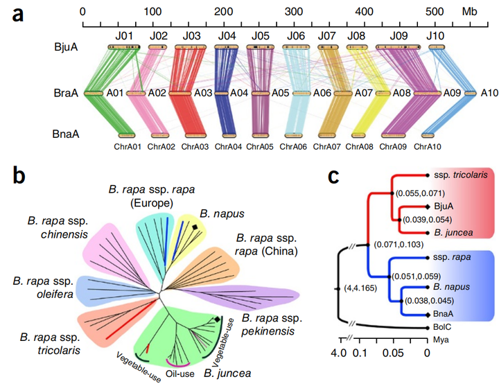 全表观基因组关联分析（EWAS）与GWAS，MR碰撞 - 知乎
