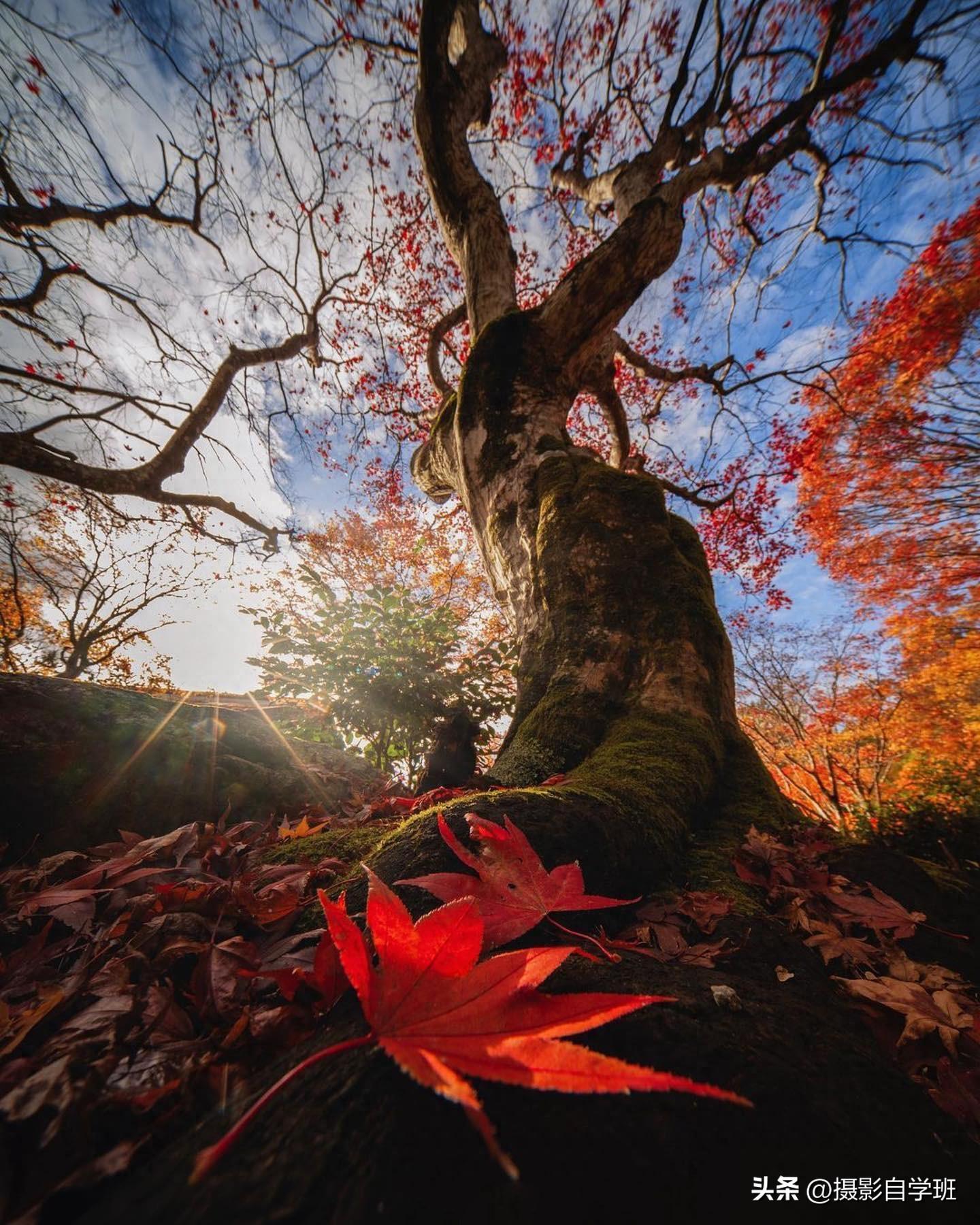 “Well, the well wells well.”是什么意思？ - 知乎