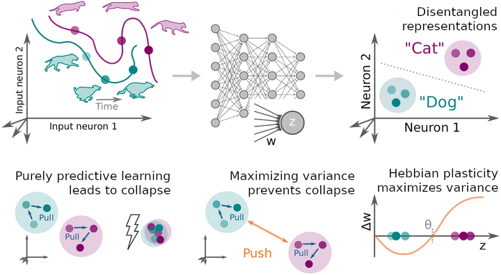 第八章 神经网络与信号识别Vol.2：Hebb学习 - 知乎