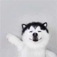 dataclasses vs attrs vs pydantic - 知乎