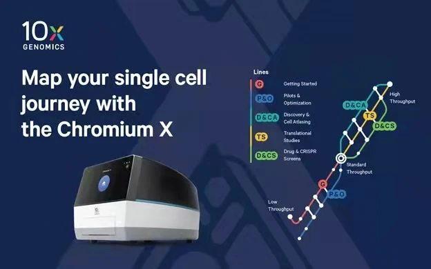大家好，我是Chromium X，你看这细胞贼多，分群贼清楚！ - 知乎
