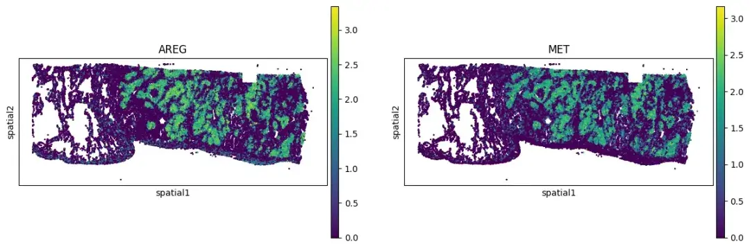 Squidpy空转分析教程：基于Xenium数据的空间转录组分析 - 知乎