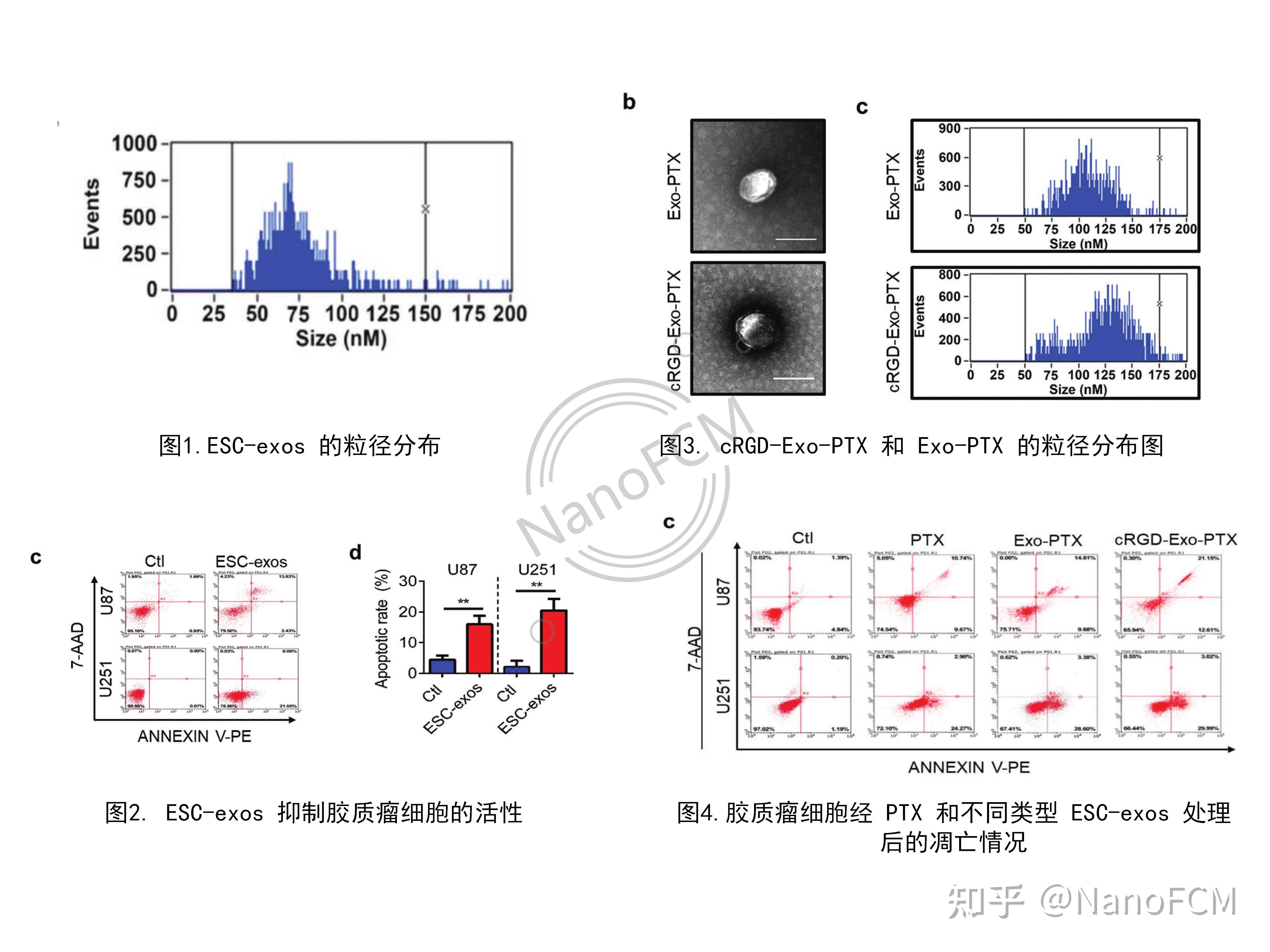 干细胞外泌体：未来已来，你来不来？ - 知乎