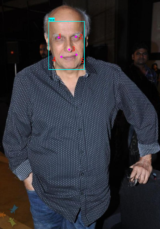 yolo系列之yolov5-face - 知乎