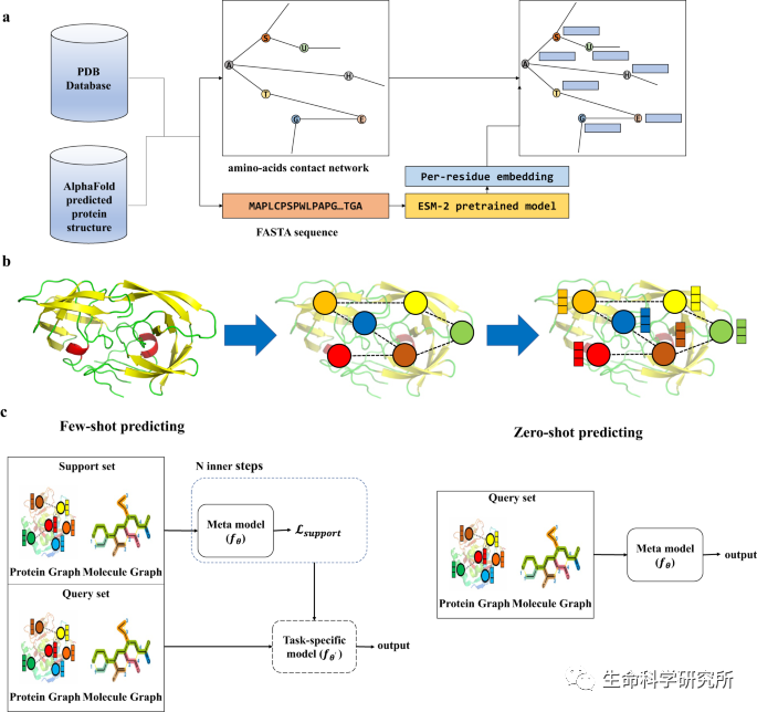 ZeroBind：基于亚图匹配的蛋白特异性零样本预测器，适用于药物靶点相互作用 - 知乎
