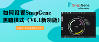 如何设置SnapGene 黑暗模式（V6.1新功能） - 知乎