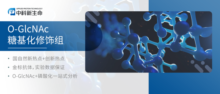 赶紧收藏丨5篇高分文章带你了解O-GlcNAc糖基化研究 - 知乎